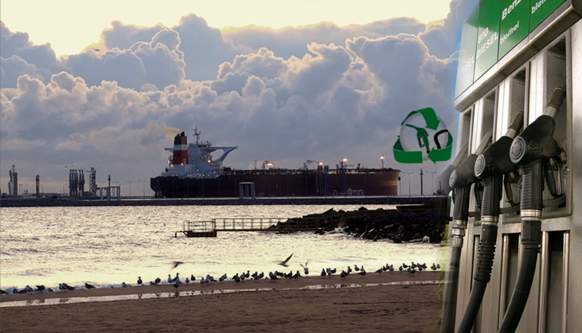 WHAT WE DO – TSG GH